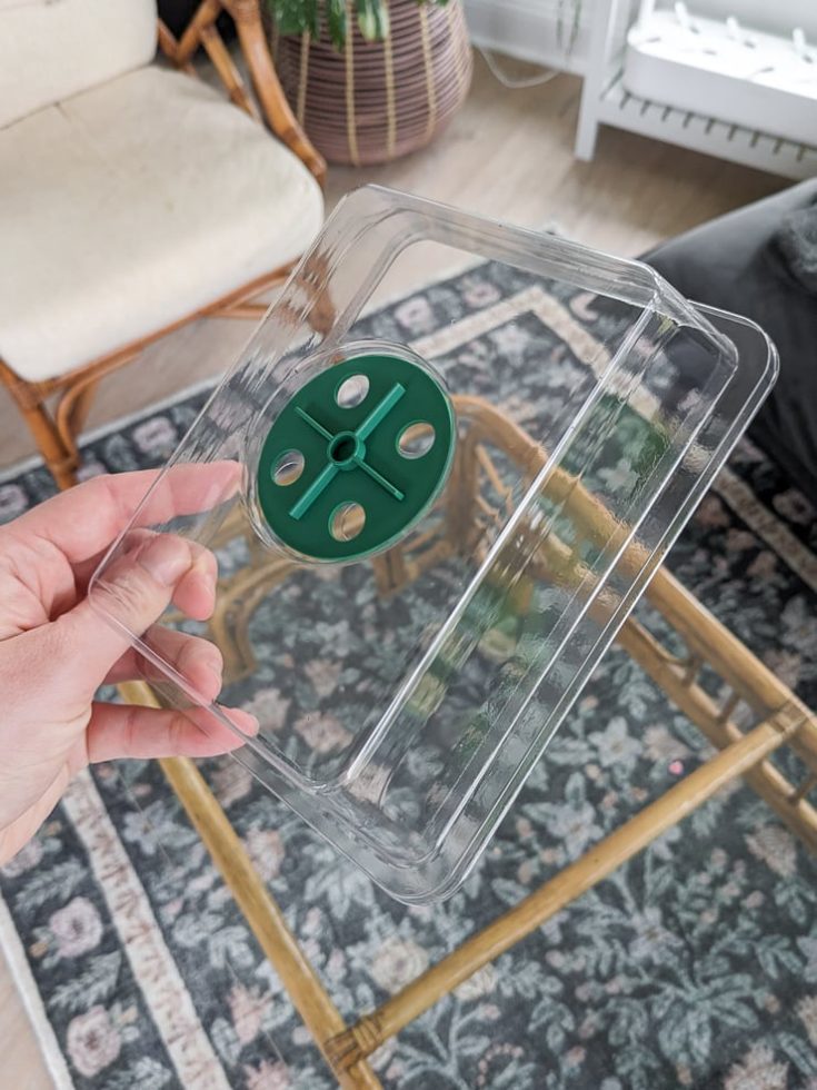 Seed starting 101 & how I start my seeds indoors