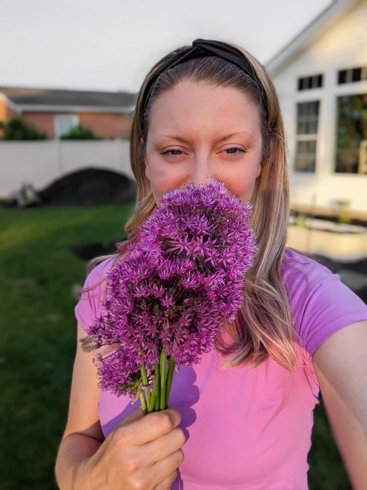 How to plant & grow allium (aka the ornamental onion)
