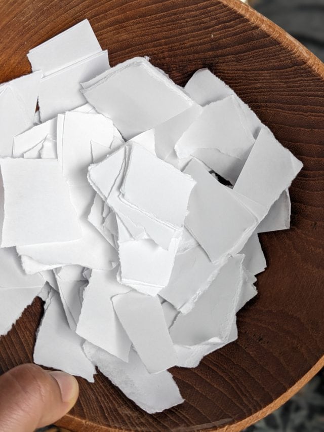 How to make seed paper that's plantable & biodegradable!