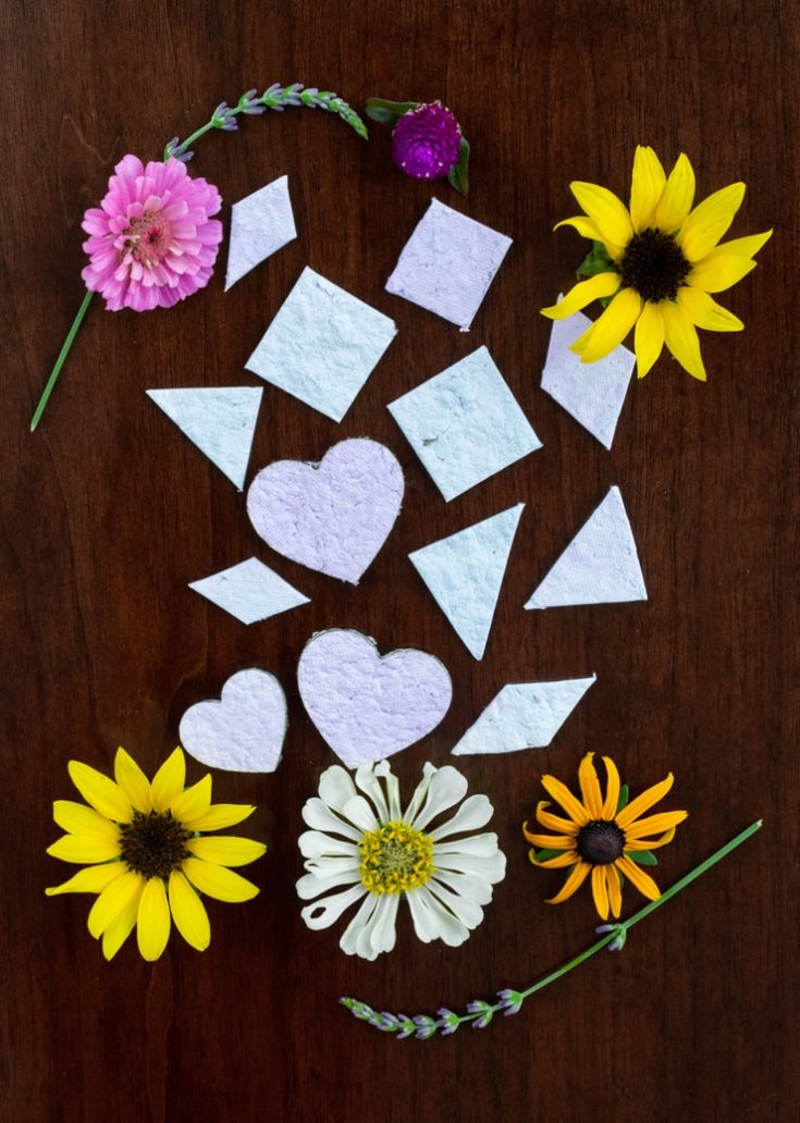 How to make seed paper that's plantable & biodegradable!