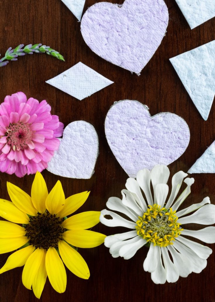 How to make seed paper that's plantable & biodegradable!