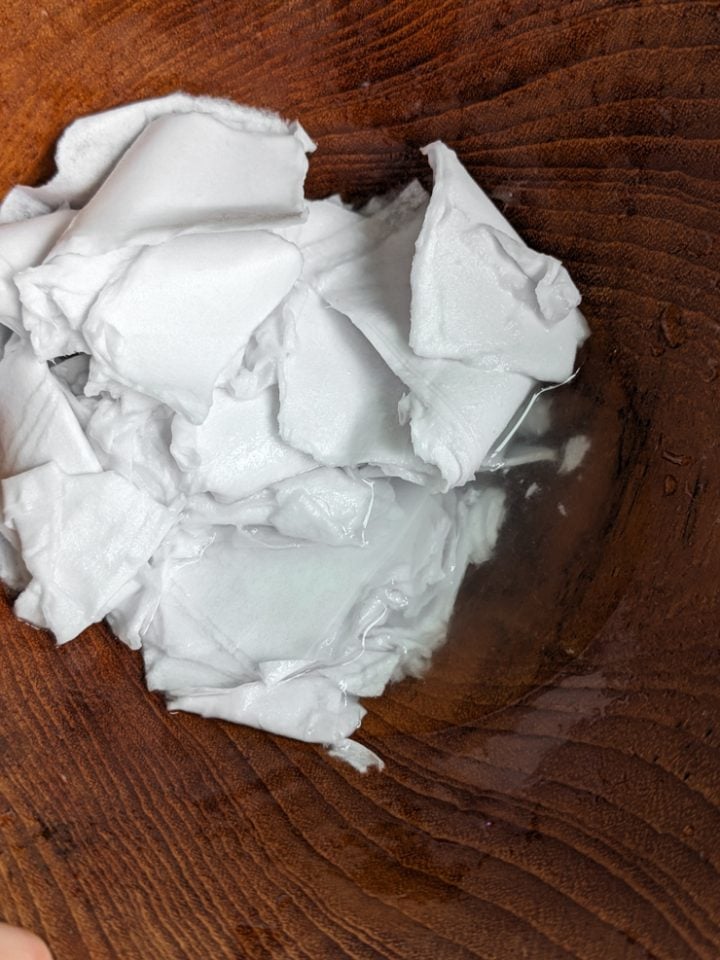 How to make seed paper that's plantable & biodegradable!