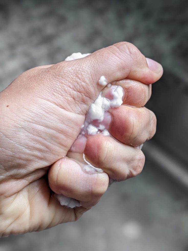 How to make seed paper that's plantable & biodegradable!