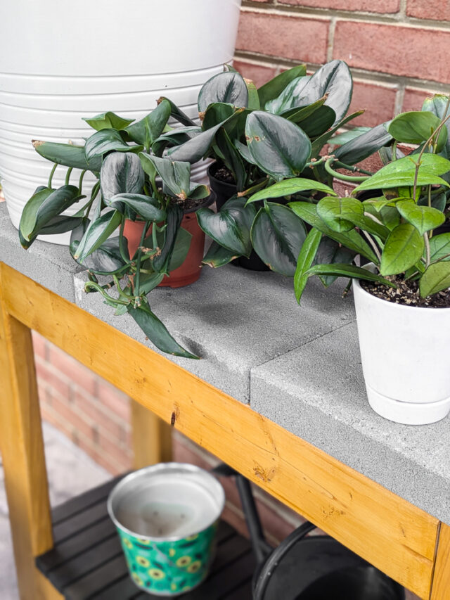 My outdoor console table made using 2x4s and pavers!