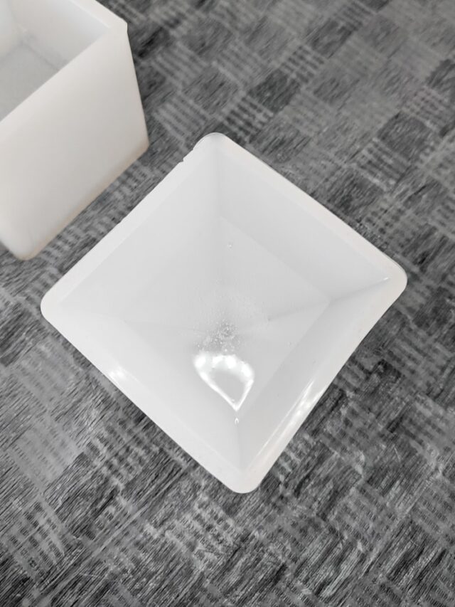 Learn how to preserve insects in resin using Brood X cicadas!