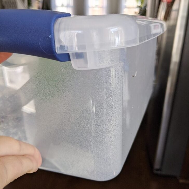 How to make a plant propagation box, the perfect mini greenhouse!