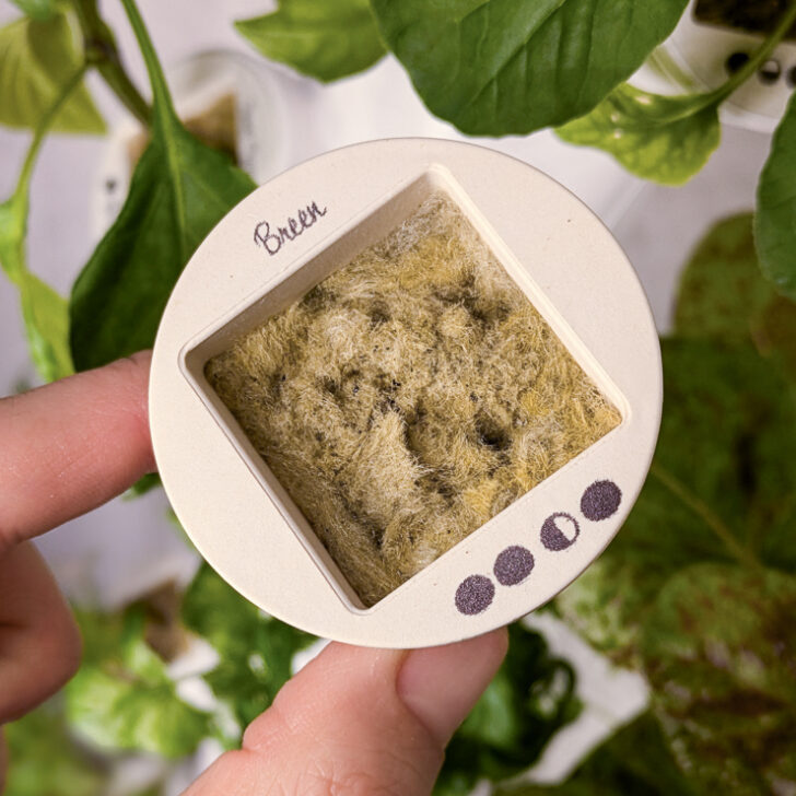My experience with the Gardyn 4.0 hydroponic indoor garden!