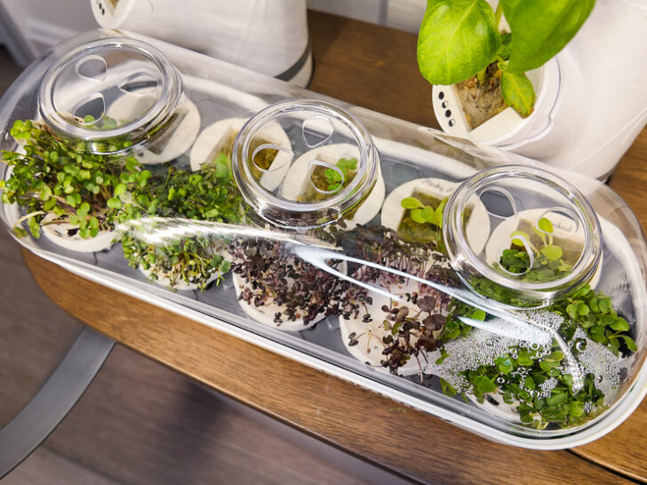 My experience with the Gardyn 4.0 hydroponic indoor garden!