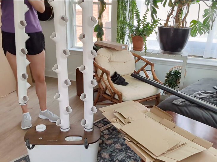 My experience with the Gardyn 4.0 hydroponic indoor garden!