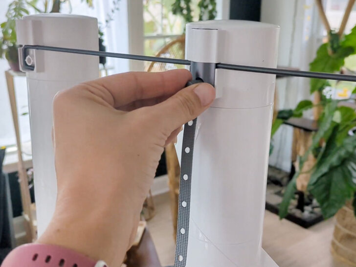 My experience with the Gardyn 4.0 hydroponic indoor garden!