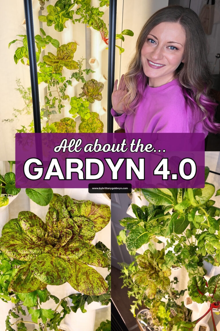 My experience with the Gardyn 4.0 hydroponic indoor garden!