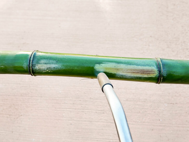 Let's cut down and heat cure some bamboo!