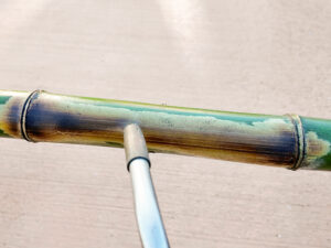 Let's cut down and heat cure some bamboo!