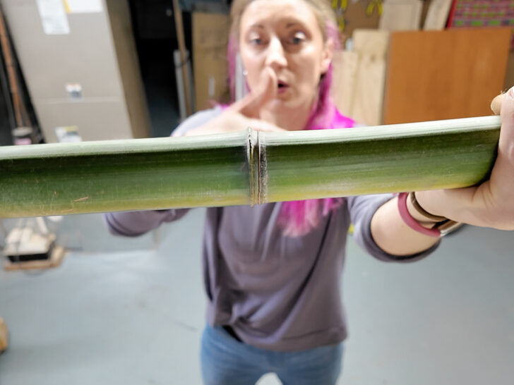 Let's cut down and heat cure some bamboo!