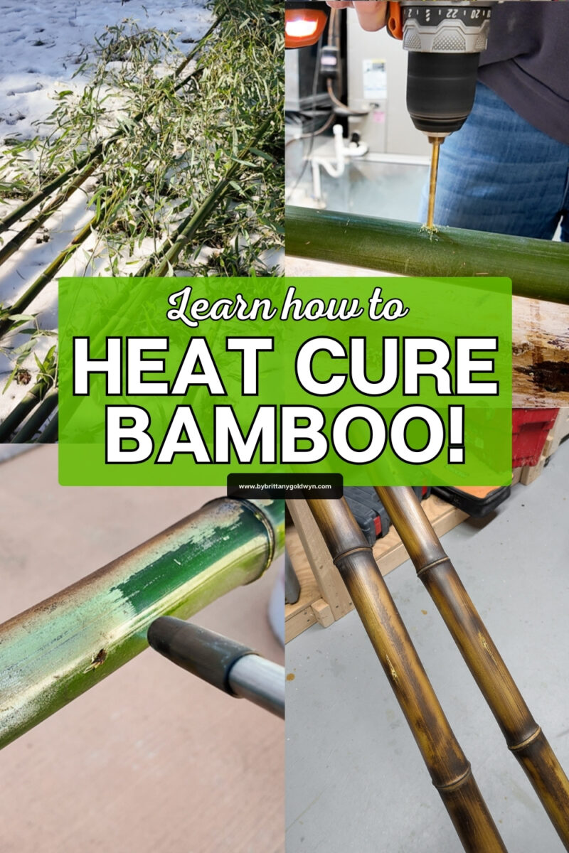 Let's cut down and heat cure some bamboo!