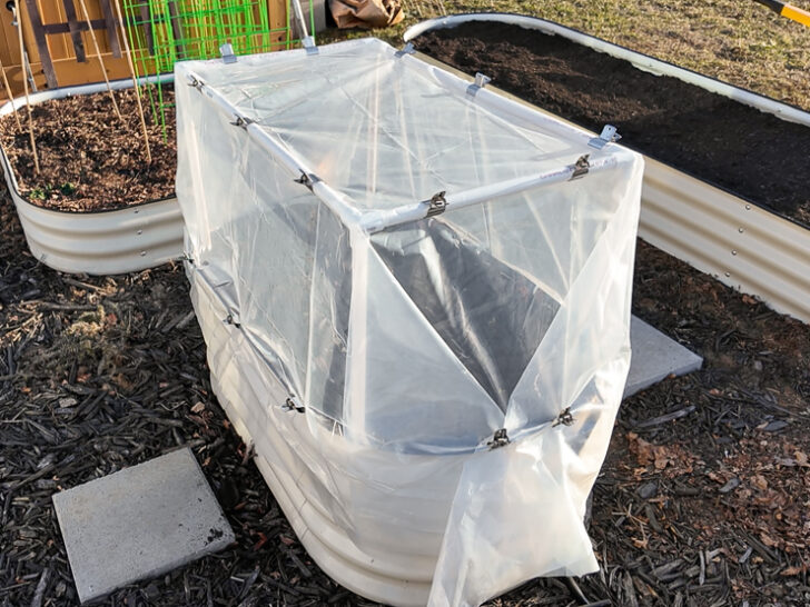How to build a simple & cheap PVC pipe cold frame!