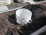 DIY In-Ground Compost Bin - By Brittany Goldwyn | Plants & Projects