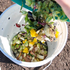 DIY In-Ground Compost Bin - By Brittany Goldwyn | Plants & Projects