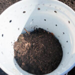 DIY In-Ground Compost Bin - By Brittany Goldwyn | Plants & Projects