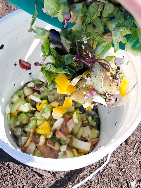 DIY In-Ground Compost Bin - By Brittany Goldwyn | Plants & Projects